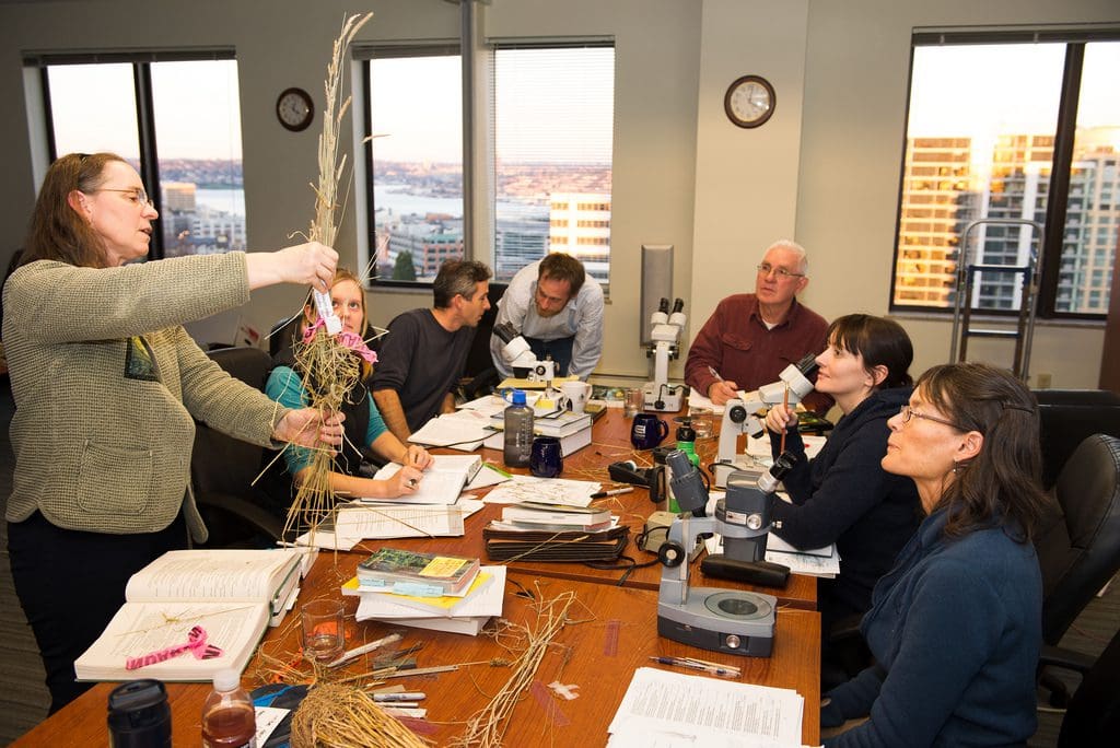 Biologist's Bliss - An In-house Class Dr. Sarah Spear Cook - Herrera