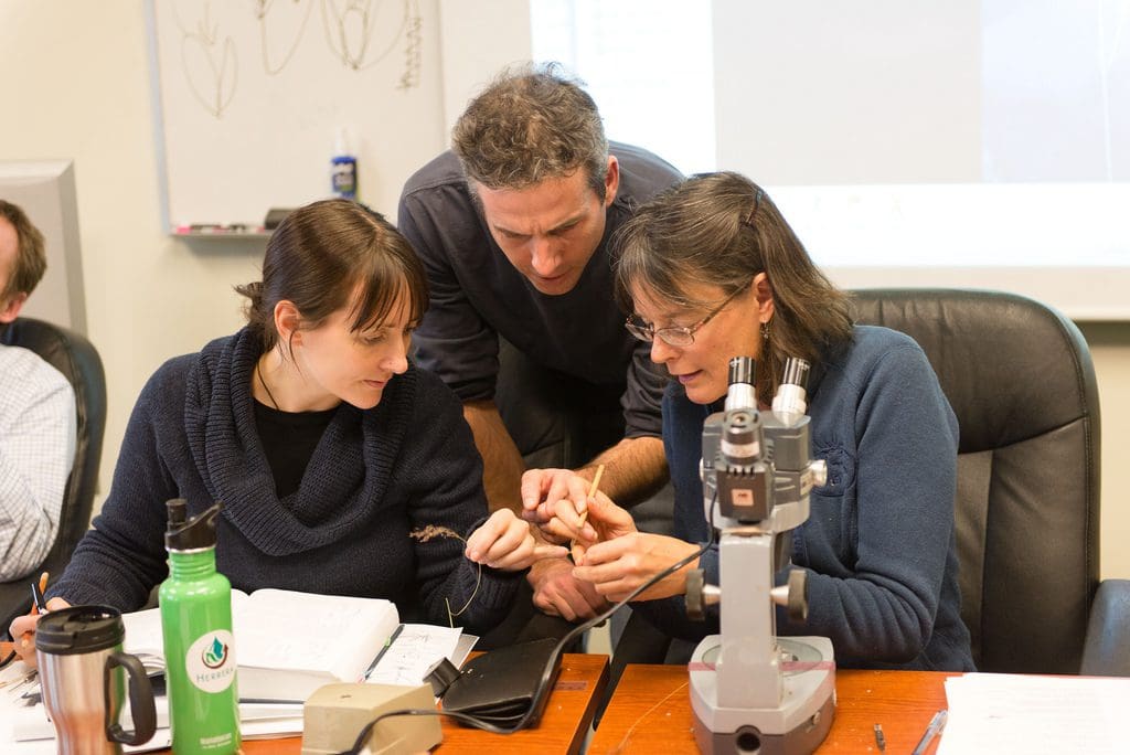 Biologist's Bliss - An In-house Class Dr. Sarah Spear Cook - Herrera