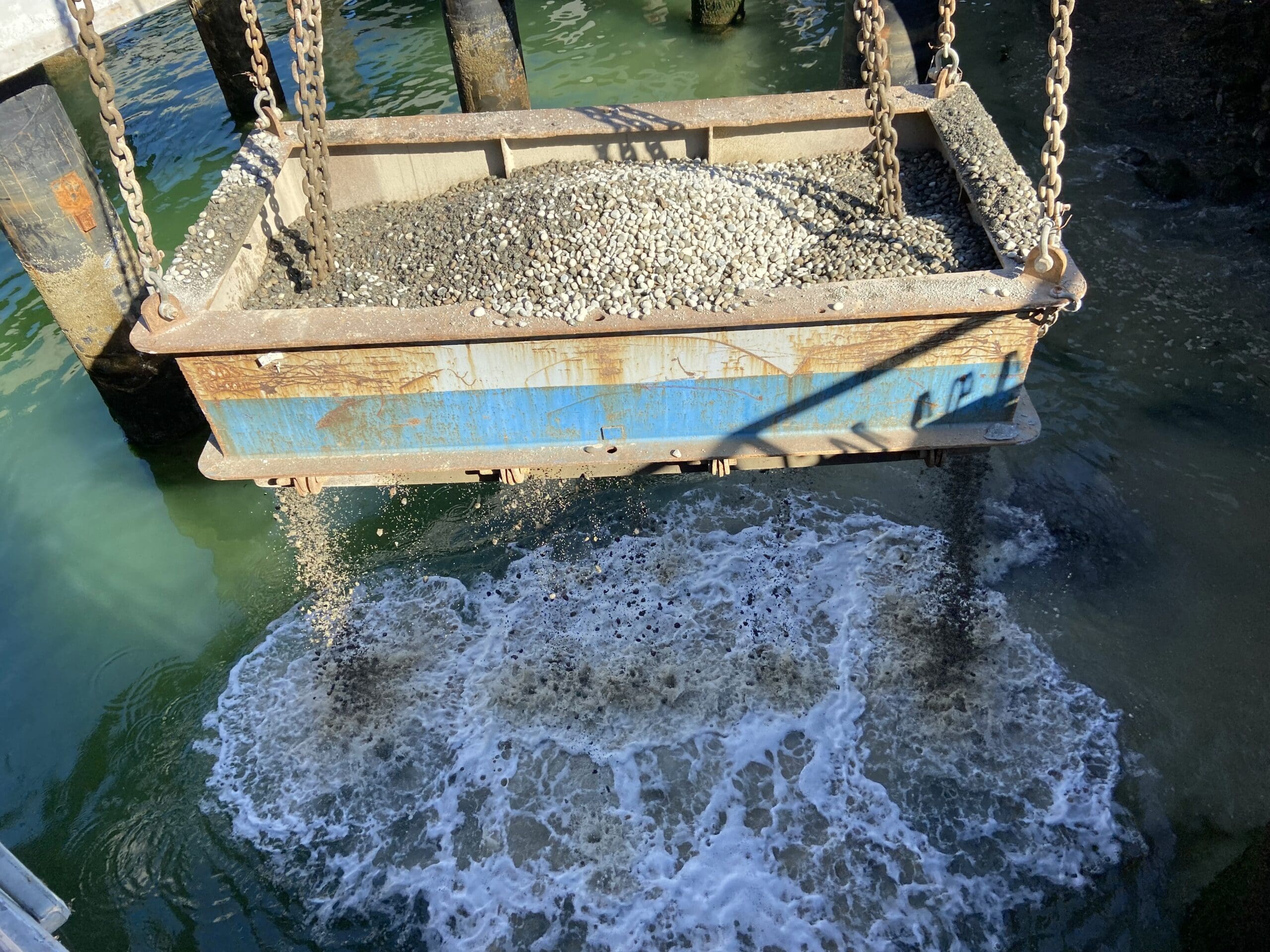 Helping WSF Restore Salmon Habitat at Colman Dock - Herrera