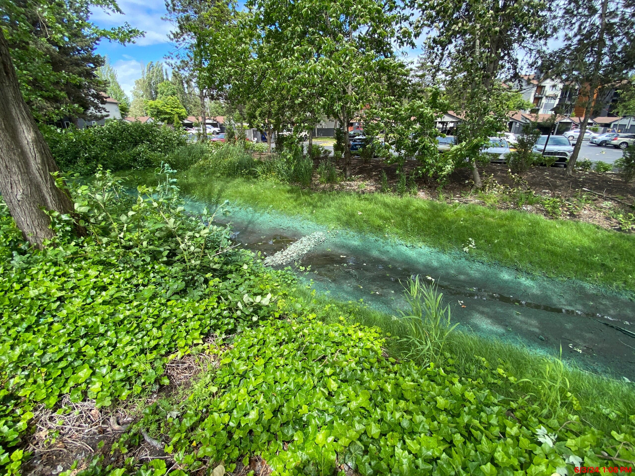 2024 Construction Spotlight Part 4: City of Redmond Senior and ...