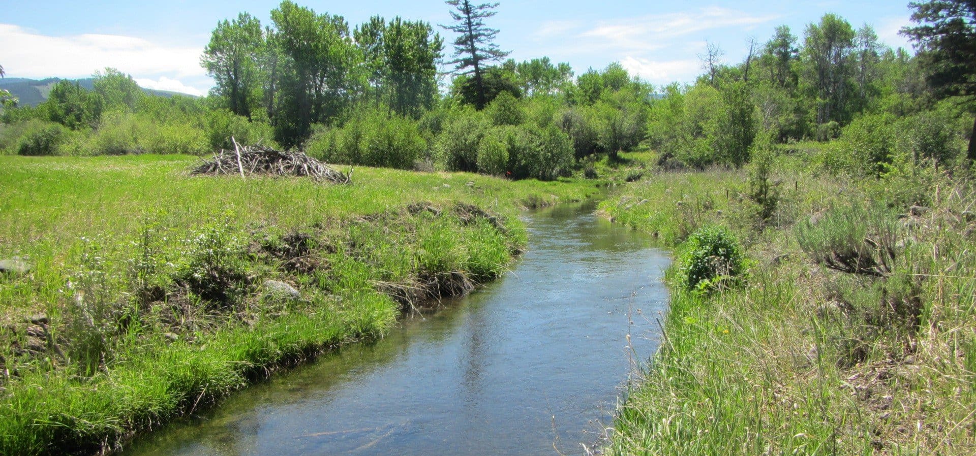 Cottonwood Creek Wetland and Stream Delineations - Herrera