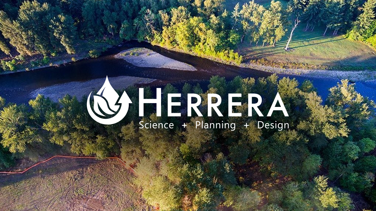 Invasive Species Profile: African Clawed Frog (Xenopus laevis) - Herrera