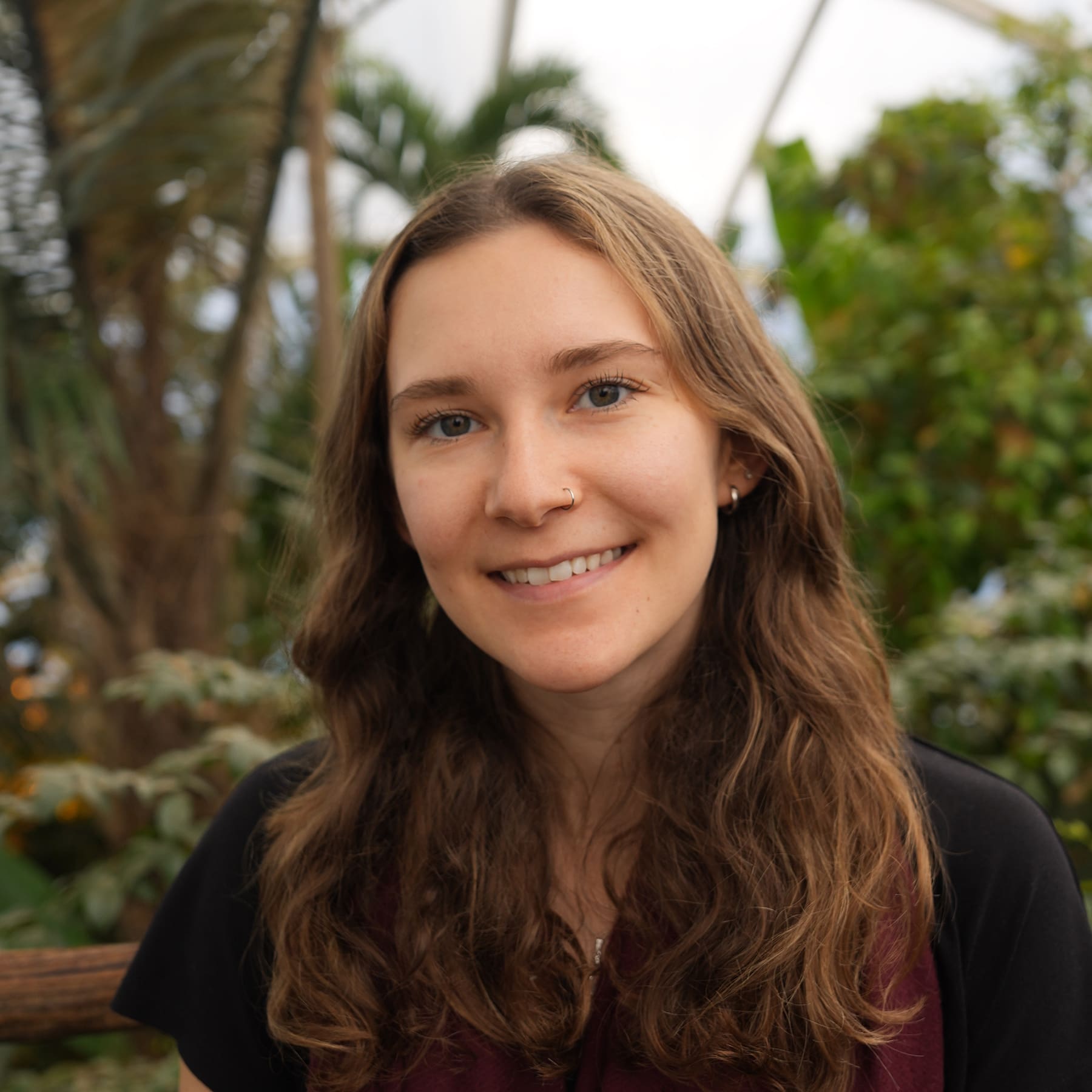 Dani Backman - Herrera