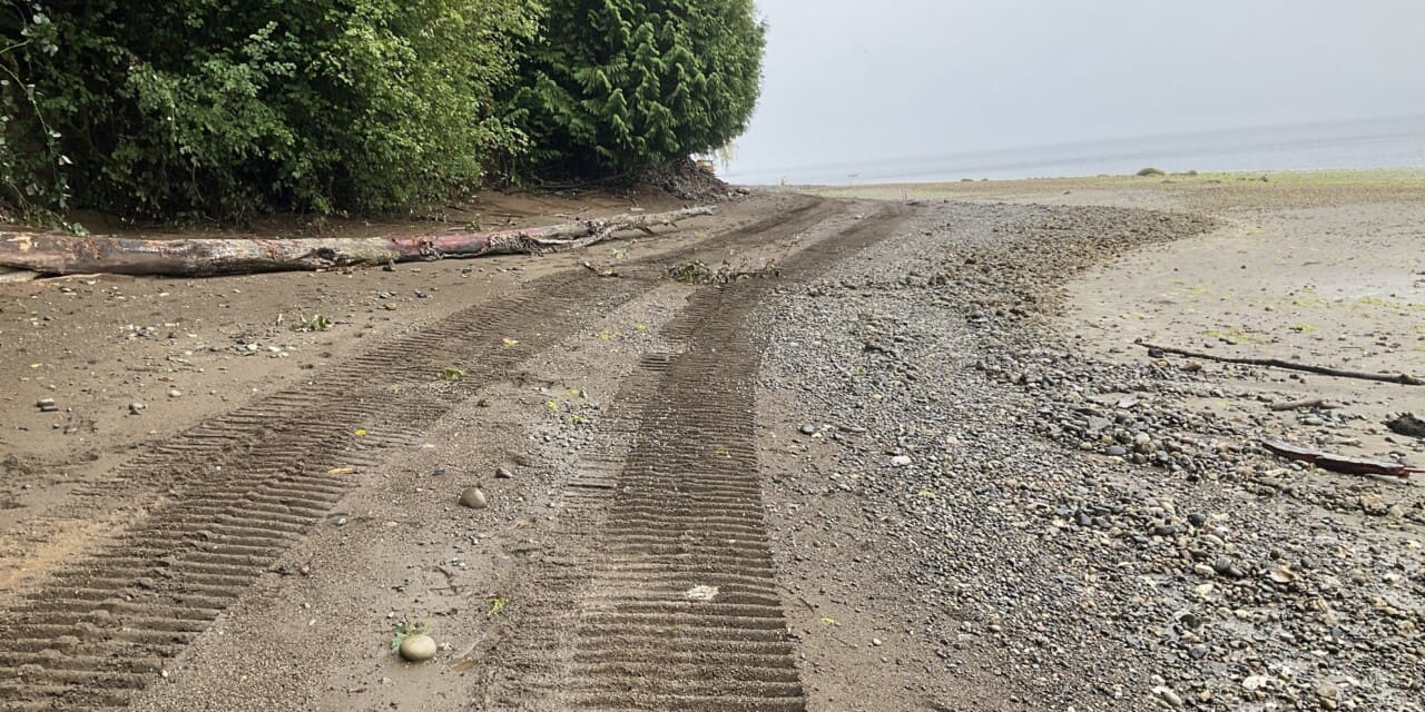 Restoring Henderson Bay: A shoreline design that works with nature ...